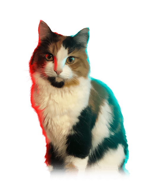 Имиджевые и корпоративные видеоролики под ключ. Москва - ezh-pro